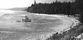 Willingdon Beach